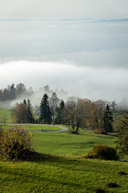 Rundwanderungen auf dem Zugerberg: Hase, Fuchs oder Hirsch
